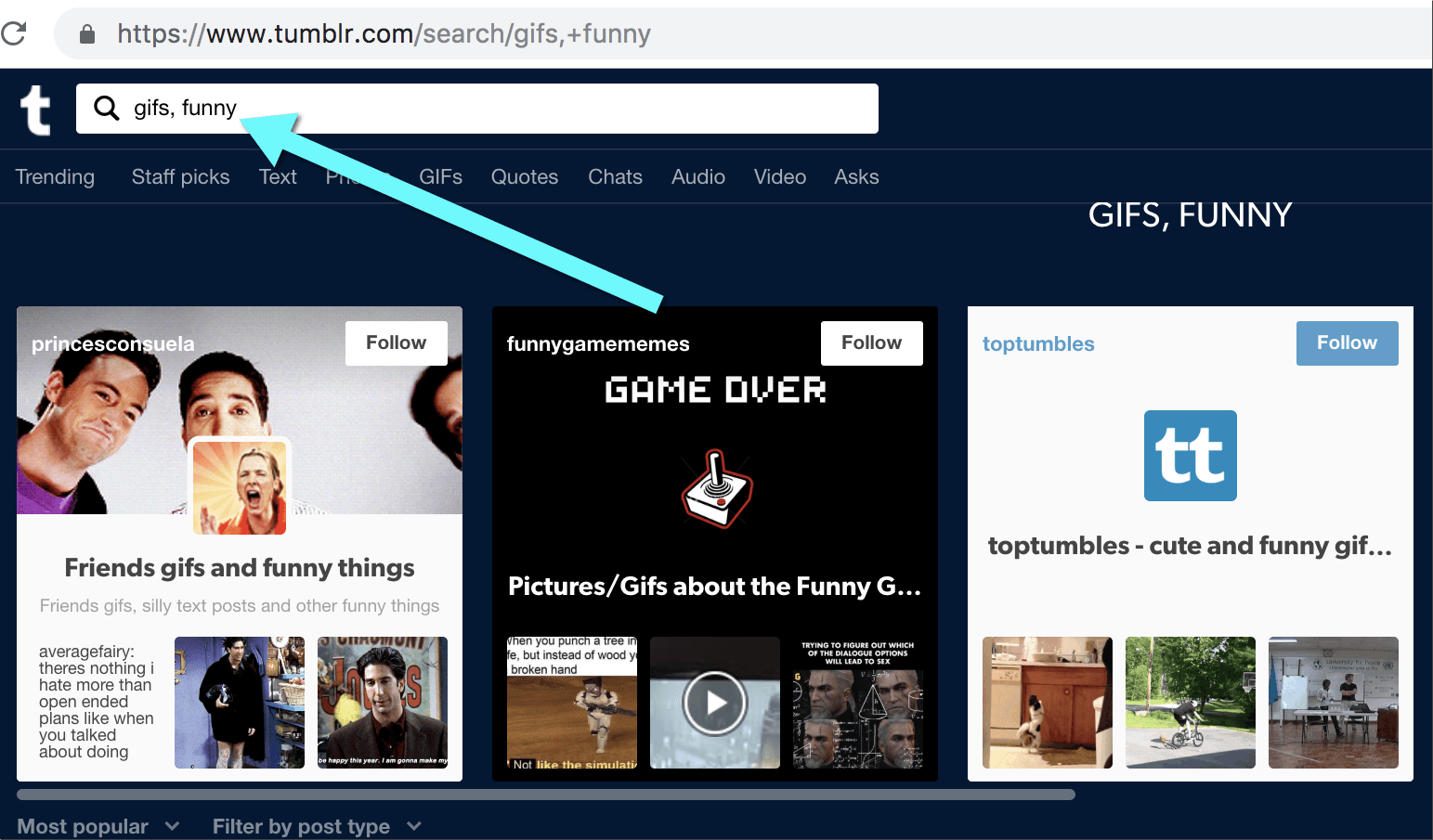 Tumblr search LINK 